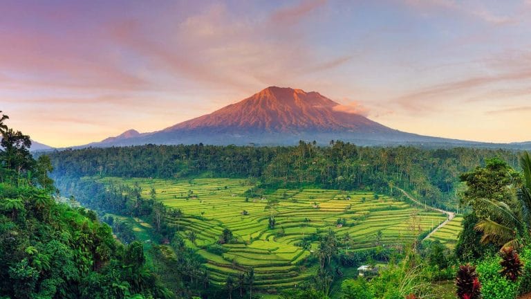 All-Inclusive Ubud Wellness & Healing Retreat Bali for Women