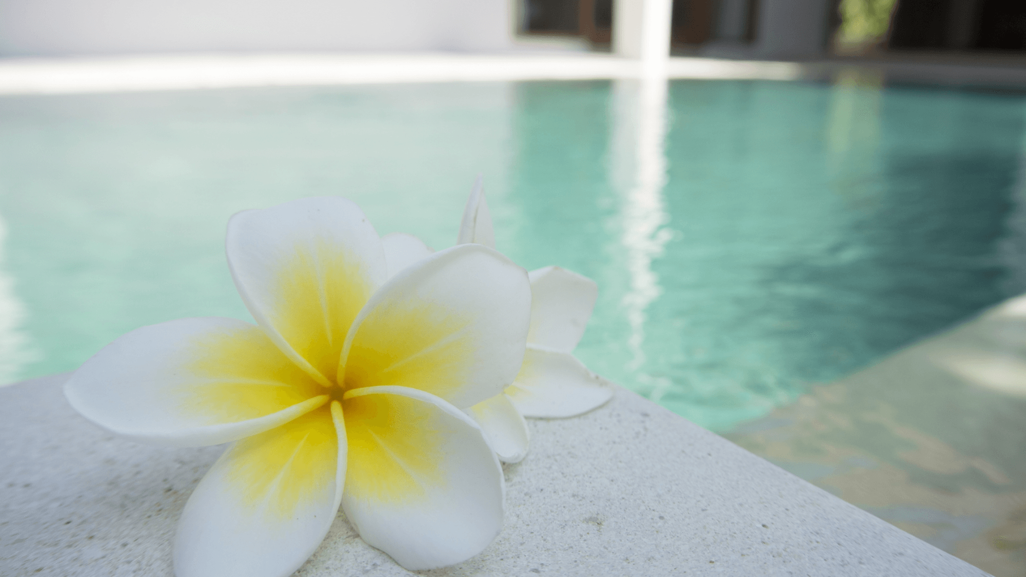 The Power of Rest and Relaxation at Goddess Retreat - Goddess Retreats